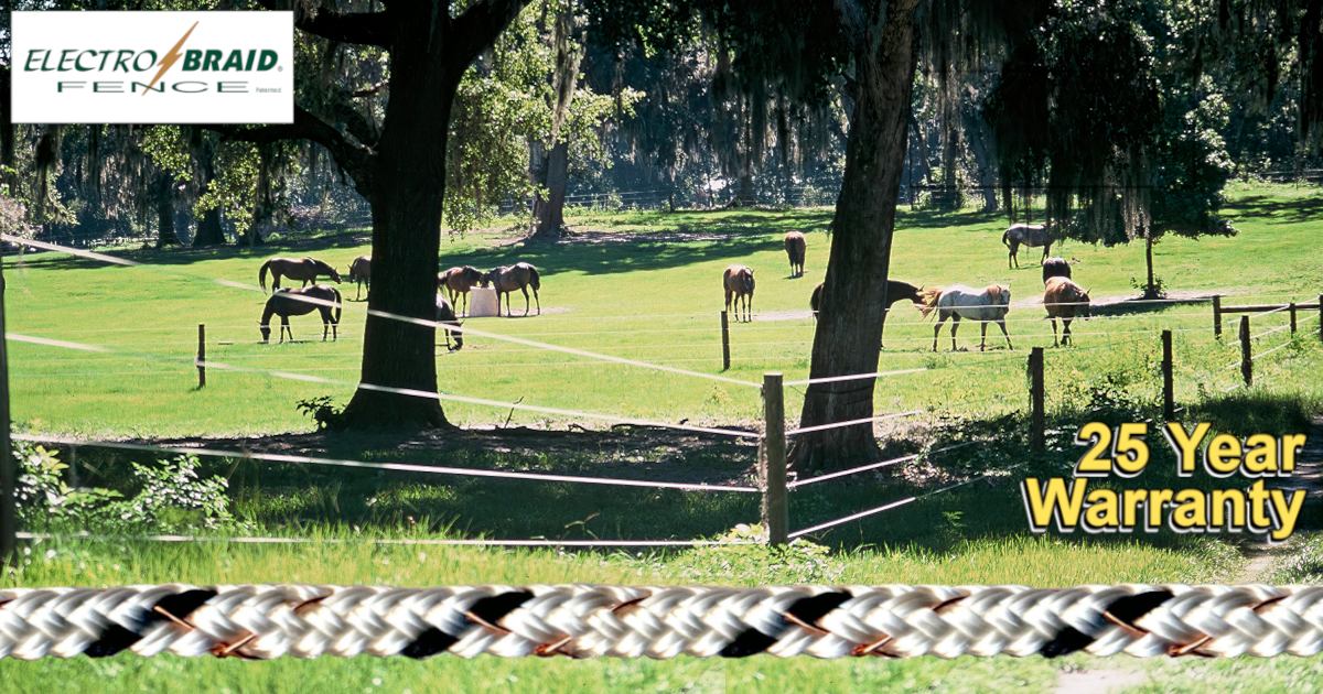 ElectroBraid® – America's #1 Electric Horse Fence