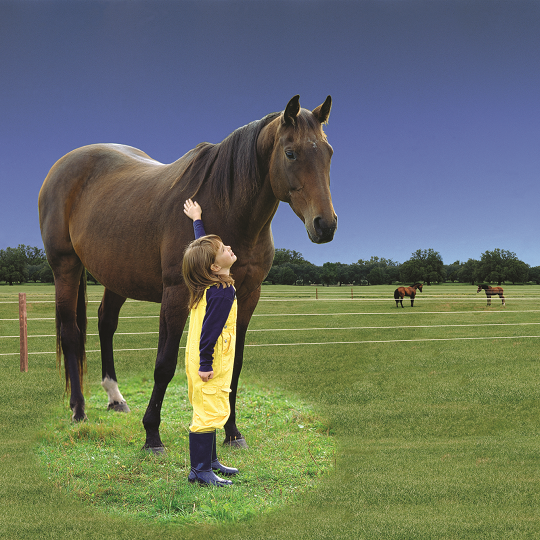 ElectroBraid Storefront